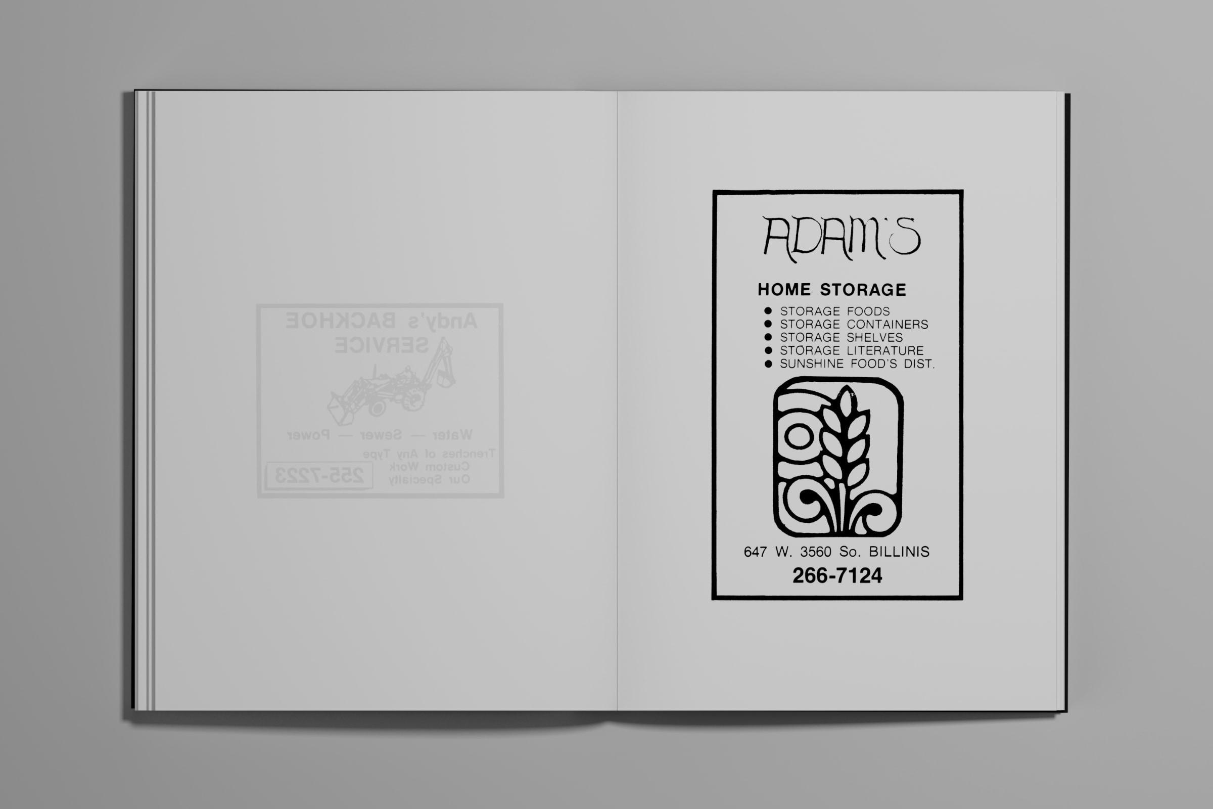 Classified: Local Ads From America’s Small Towns – Standards Manual